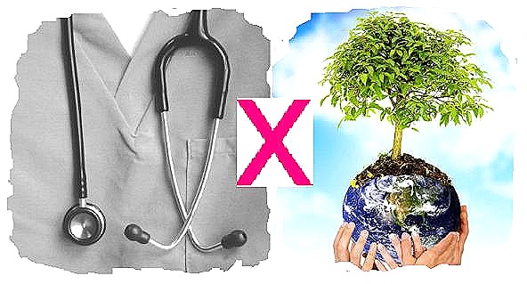 SAÚDE / MEIO AMBIENTE